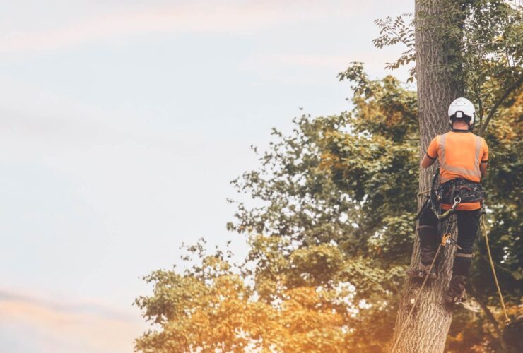 What is Situational Awareness? - OSHA Practice